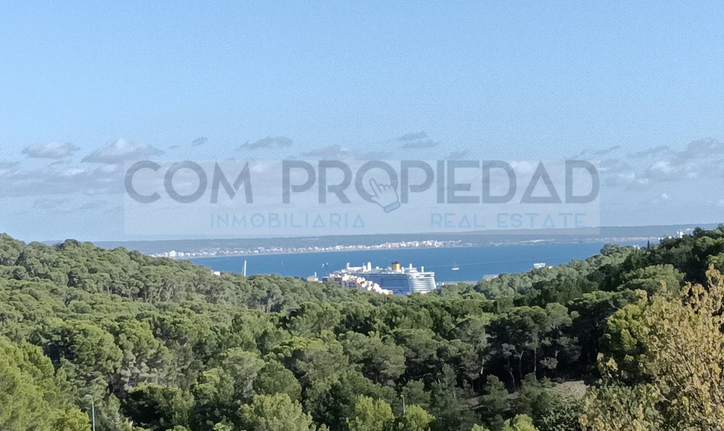 Stadtgrundstück Mit Lizenz Und In Gènova, Palma, Balearische Inseln Zu ...