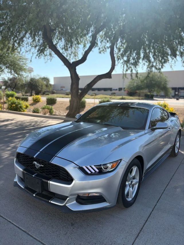 Sitemapcdatahttpsthereferenznetford Mustang For Sale Phoenix