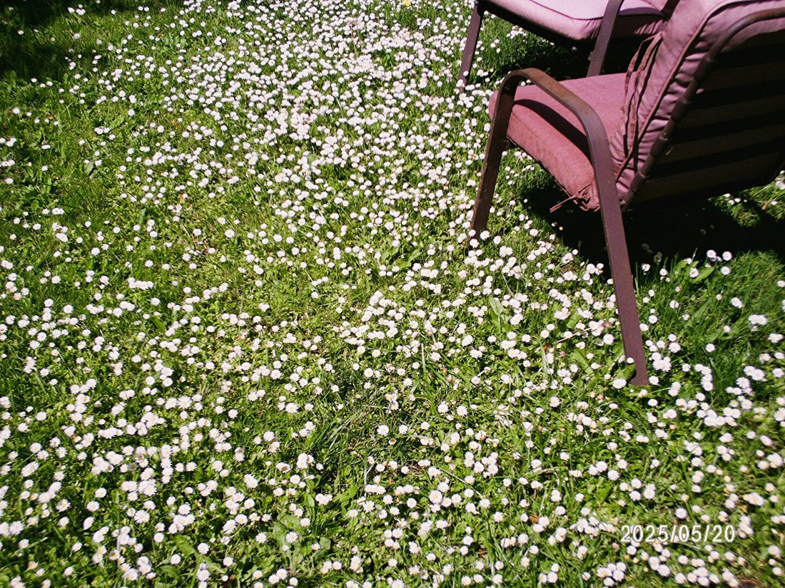 Jolie Maison T5 Plain Pied Aux Portes De En Périgny, Nueva Aquitania ...