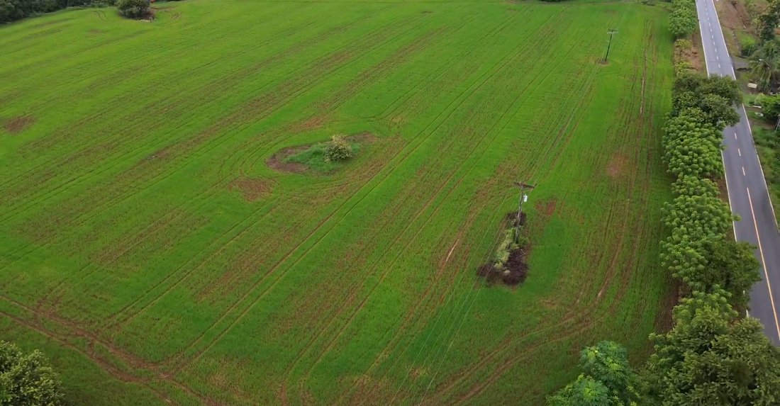 Venta De Finca En Pedasí, Los Santos In Purio, Panama For Sale (17250238)