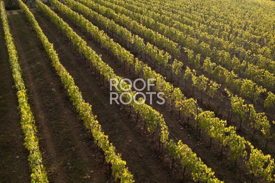 Historic 102.1 Hectare Wine Estate In Castelnuovo Berardenga, Tuscany ...