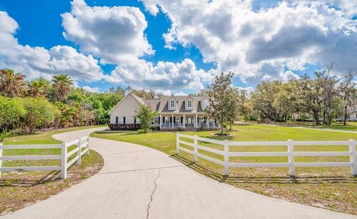 Luxury homes for sale in Fish Hawk, Florida | JamesEdition