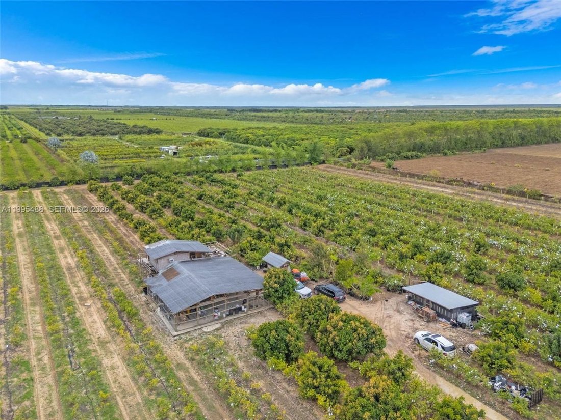 Lush Guava Grove With Scenic Treefort Retreat In Miami, Florida, United ...