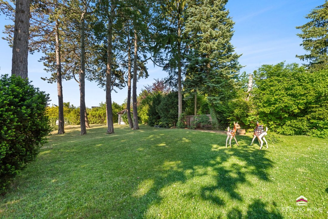 Wohnen Mit Geschichte: Villa Mit Spektakulärer In Wien, Wien ...