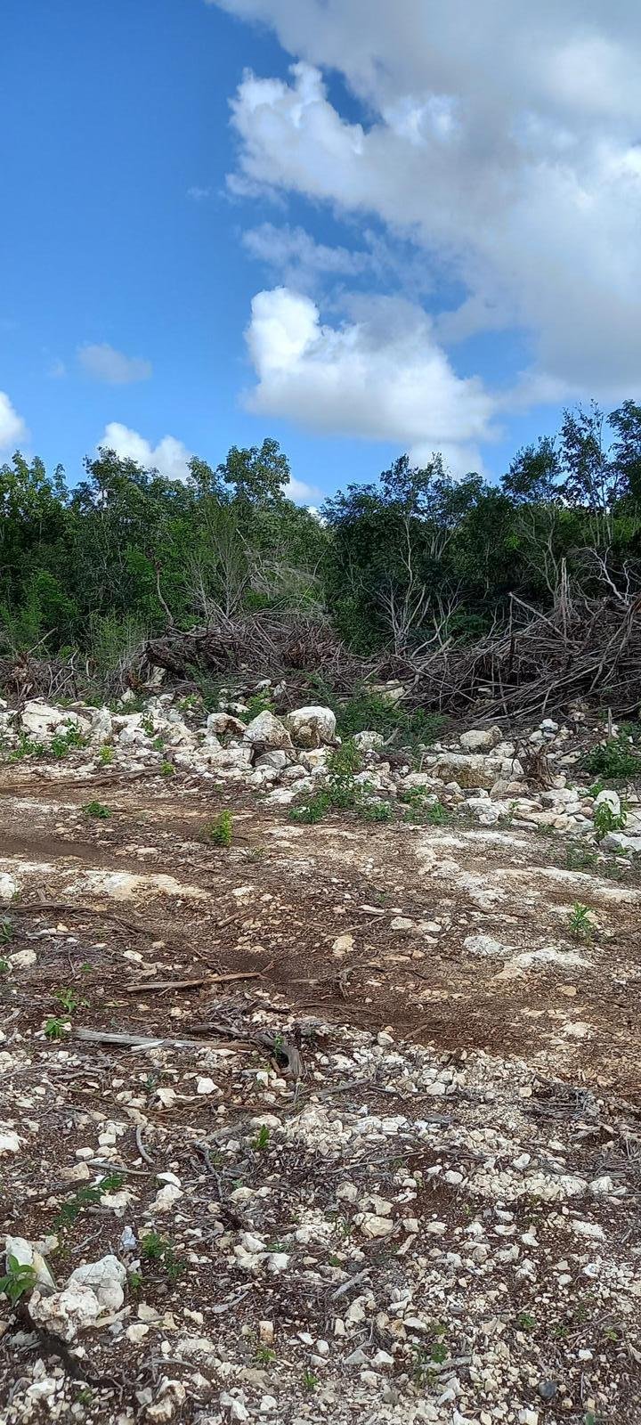 Terreno En Puerto Morelos En Puerto Morelos, Quintana Roo, México En ...