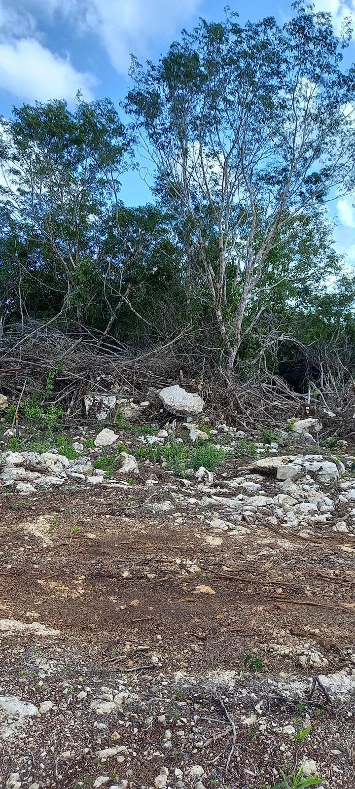 Terreno En Puerto Morelos In Puerto Morelos, Quintana Roo, Mexico For ...