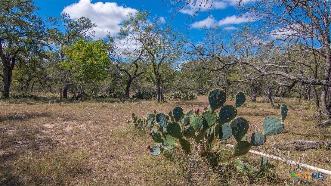 Farm/Ranch En Stockdale, Tx, United States En Venta (18006598)