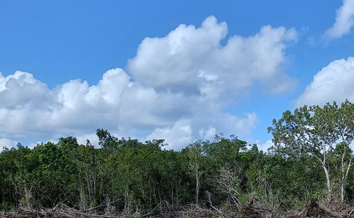 Mountain view land for sale in Puerto Morelos, Quintana Roo, Mexico ...