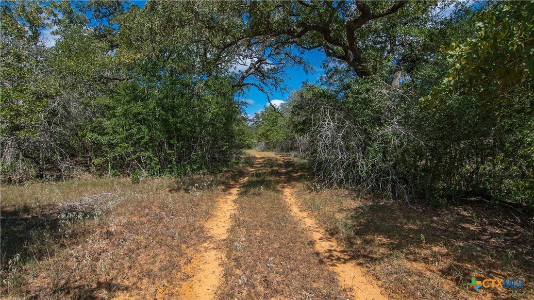 Ferme/Ranch Dans Stockdale, Texas, états Unis à Vendre (18006598)