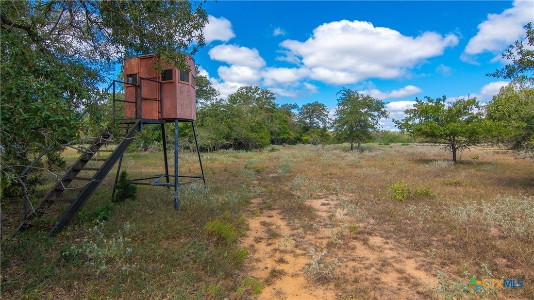 Ferme/Ranch Dans Stockdale, Texas, états Unis à Vendre (18006598)