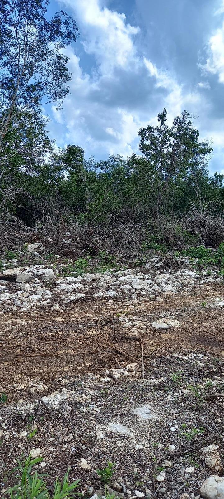 Terreno En Puerto Morelos In Puerto Morelos, Quintana Roo, Mexico For ...