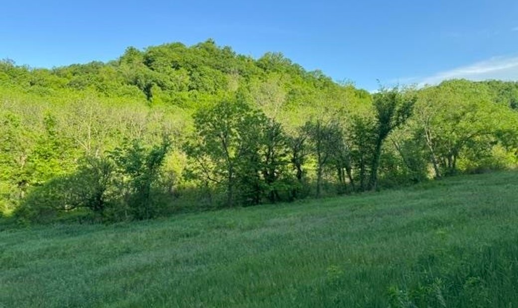 Vacant Land (10+ Acres) In Blue River, Wisconsin, United States For ...