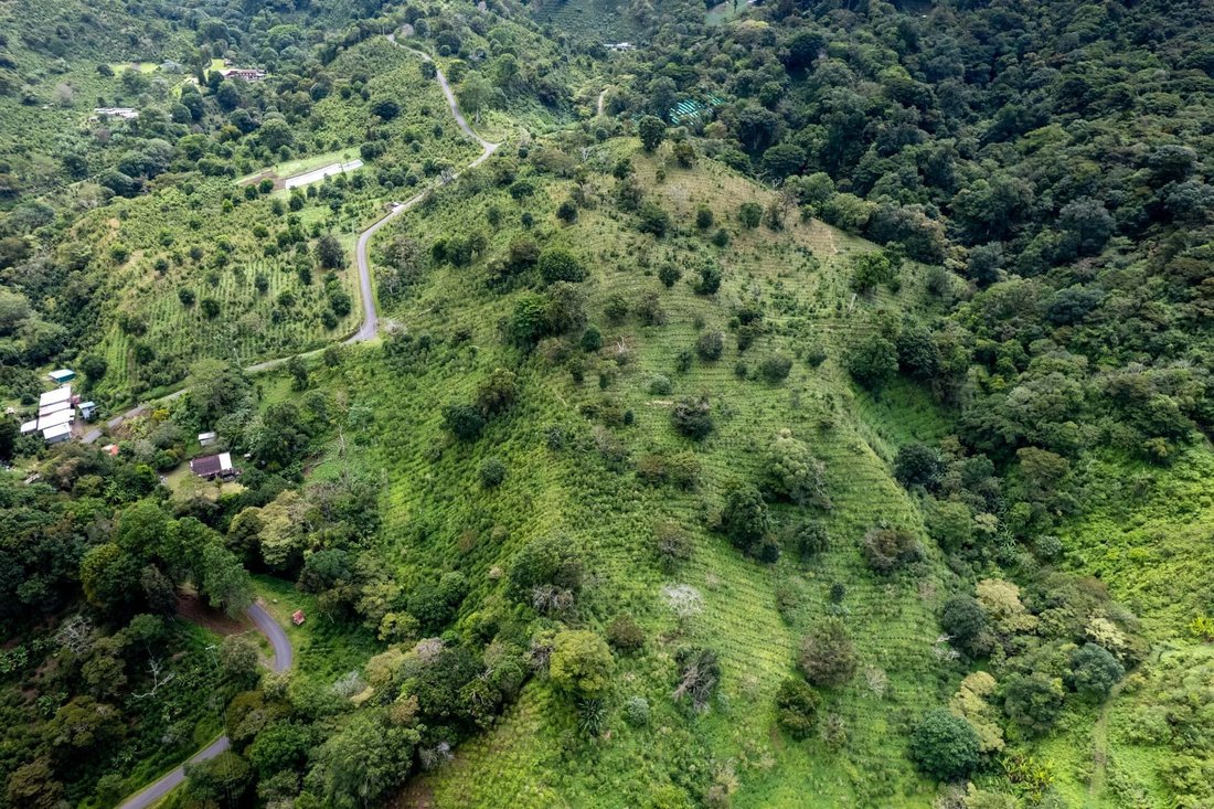 12 Plus Ha Producing Coffee Farm In Los Naranjos, Chiriquí Province ...