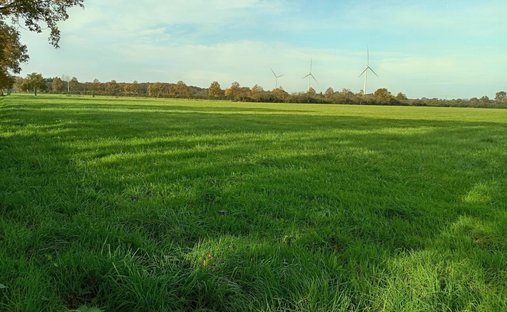 Luxus farm ranches zu verkaufen in Vallons-de-L'Erdre, Pays de la Loire ...