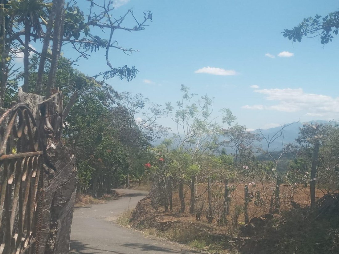 Farm In Cool Area Of Atenas With View In Jesús, Alajuela Province ...