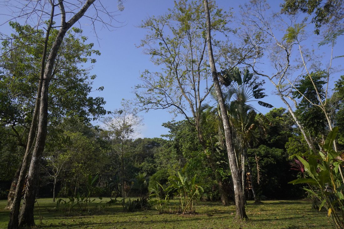 Beautiful Titled Flat Lot In Punta Arenas, Puntarenas Province, Costa ...