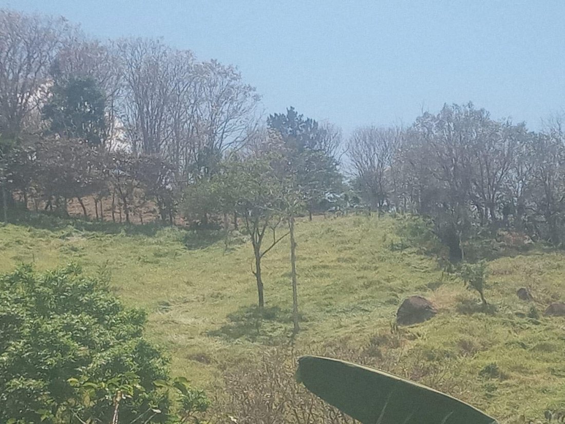 Farm In Cool Area Of Atenas With View In Jesús, Alajuela Province ...