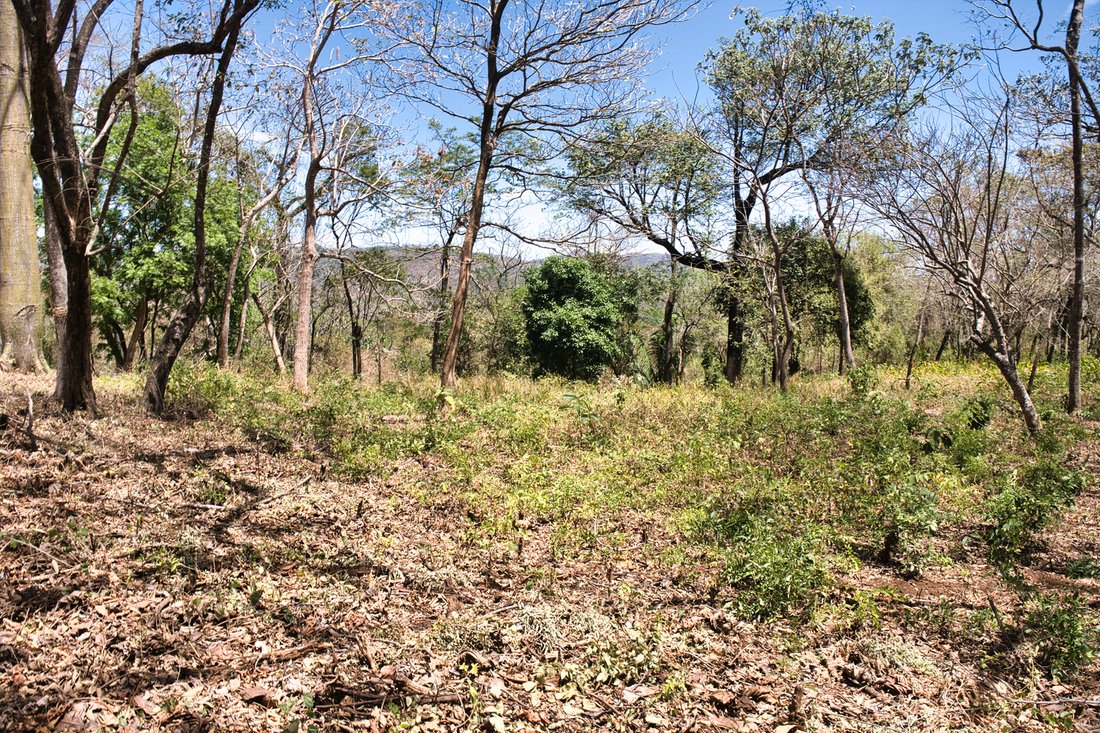5,170 M² Estate In Nosara – In Playa Pelada, Guanacaste Province, Costa ...